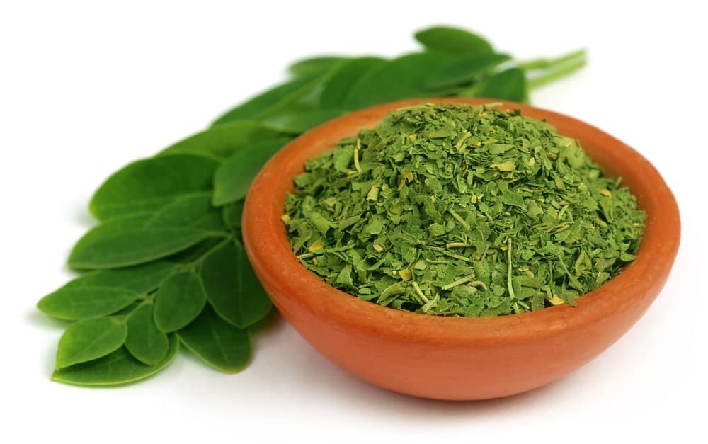 Using Dried Malunggay Leaves as Herbal Medicine