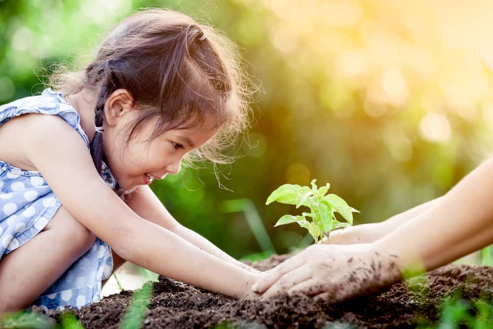 Stages of Human Development Psychology: Child Developmental Theories