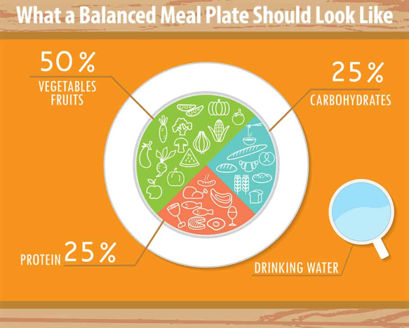Balanced Meal Plate: What Does A Balanced Diet Look Like?
