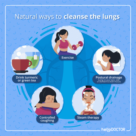 Tips to Improve Indoor Air Quality at Home - Hello Doctor