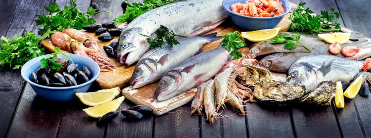 Low-Mercury Seafood in the Philippines: All You Need to Know