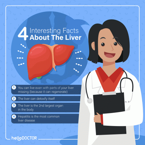 How Can I Keep My Liver Healthy?: Important Tips
