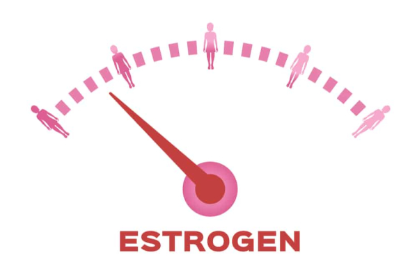 Low Estrogen Levels Causes and Symptoms in Women
