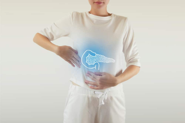 What Is the Pancreas and What Does It Do?: What You Should Know