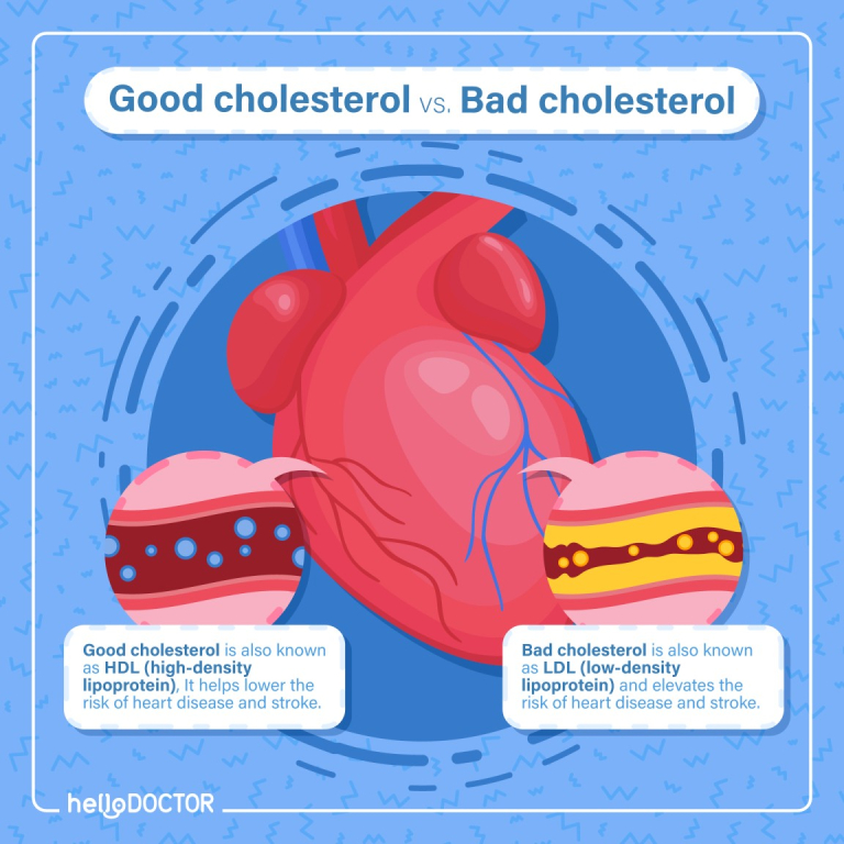 Good Cholesterol Foods: How to Boost Your HDL Levels Through Diet