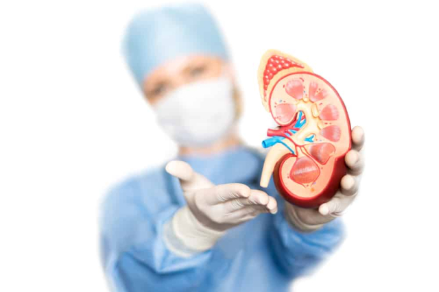 Kidney Transplant in the Philippines: What To Expect
