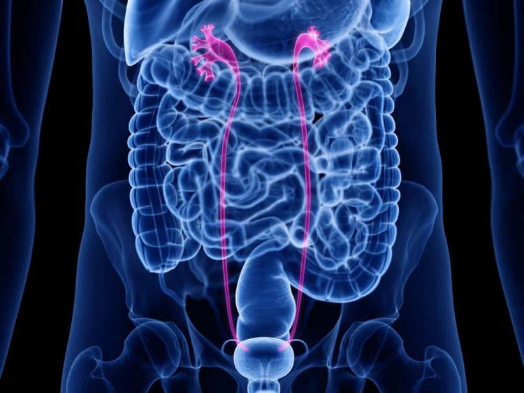 Urethritis: Causes, Symptoms, Treatment - Hello Doctor