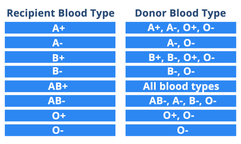 Blood Compatibility Chart: Why Is Blood Compatibility Important?