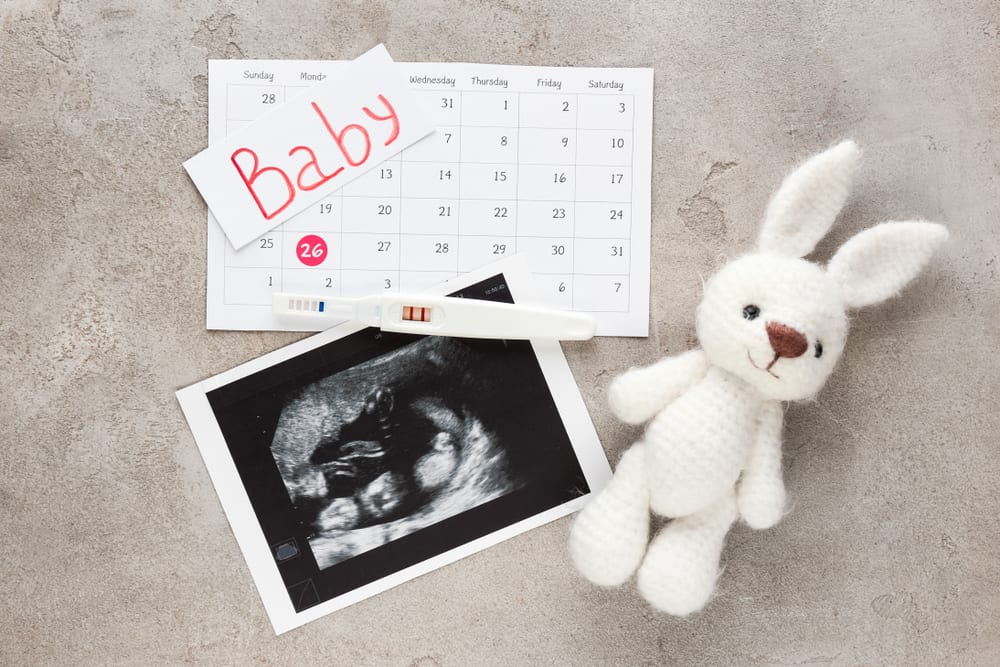 How to Calculate the Due Date: When Will Your Baby Arrive?