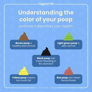 Types of Poop: Health Indications Based on Shape and Color