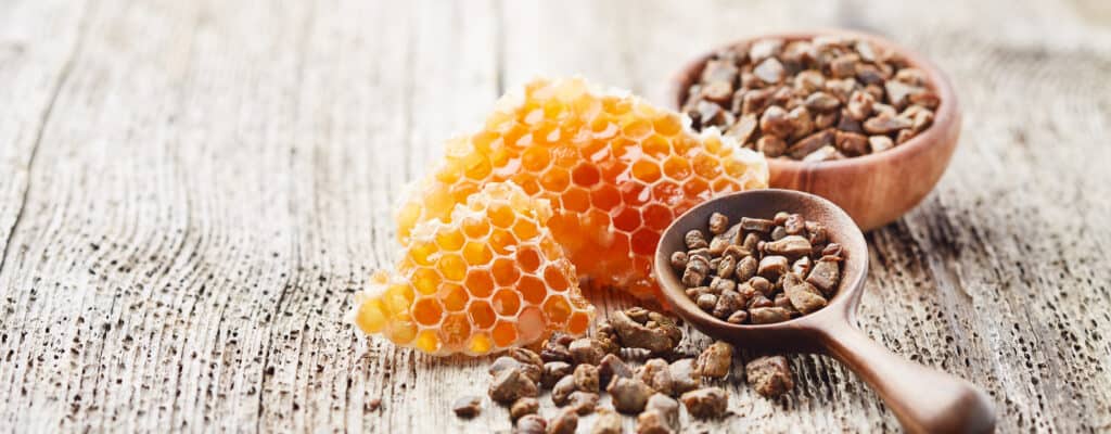 Propolis Benefits: Learn How It Fights Viruses, Bacteria and Its ...