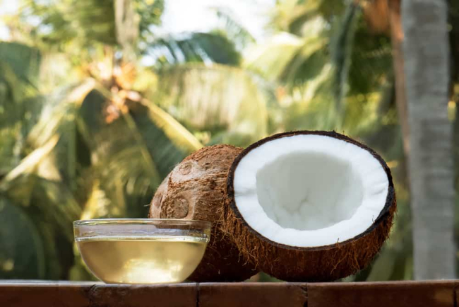 Tree of Life: The Many Health Benefits of Coconut. Find Out Here!