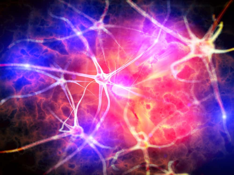 What Is Nerve Pain? Everything You Need to Know