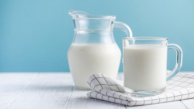 Milk For Brain Development: Why It's So Important