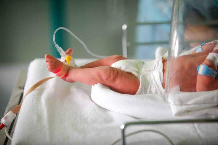 Birth Defects in the Philippines and Their Treatment