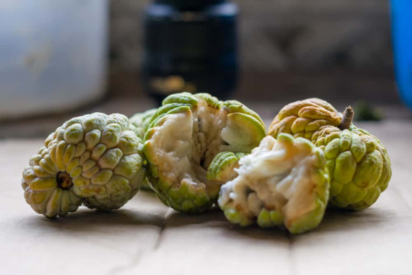 Benepisyo Ng Atis Sa Kalusugan, Anu-ano Nga Ba?