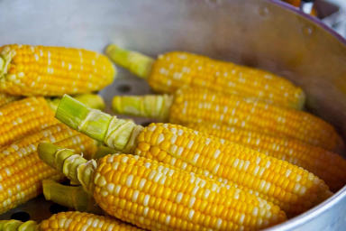 Corn Calories And Nutritients - How Healthy Is A Cob Of Corn?