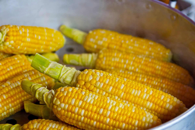 Corn Calories And Nutritients - How Healthy Is A Cob Of Corn?