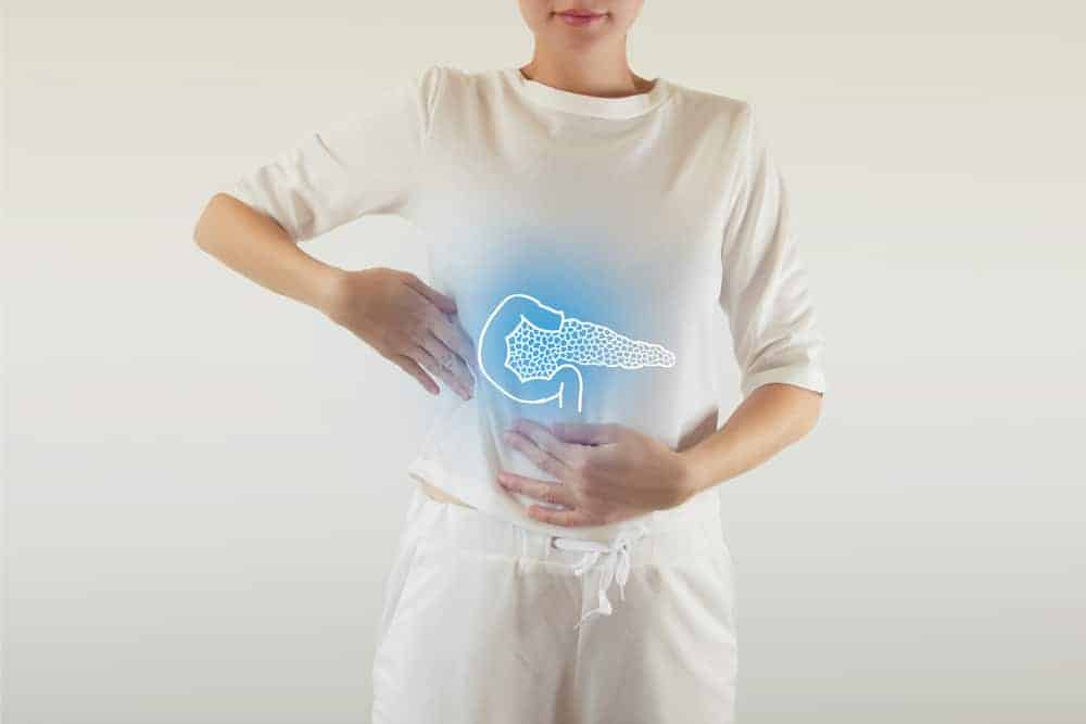 Ano ang Lapay o Pancreas, at Bakit Ito Kailangan ng Ating Katawan?