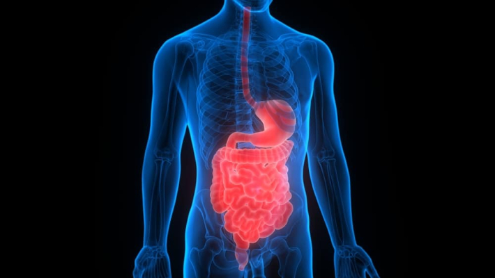 Lahat Ng Tungkol Sa Digestive System Na Dapat Mong Malaman