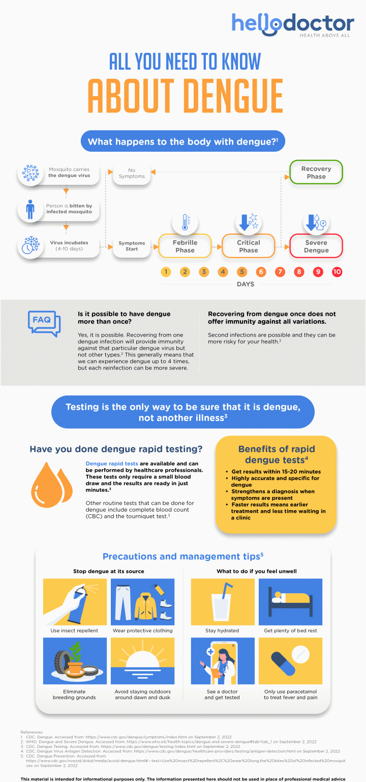 All You Need to Know About Dengue - Hello Doctor