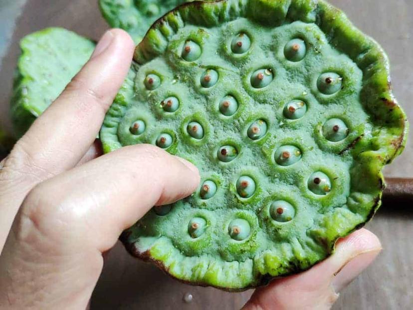 Trypophobia: What You Need to Know And Can You Overcome It?