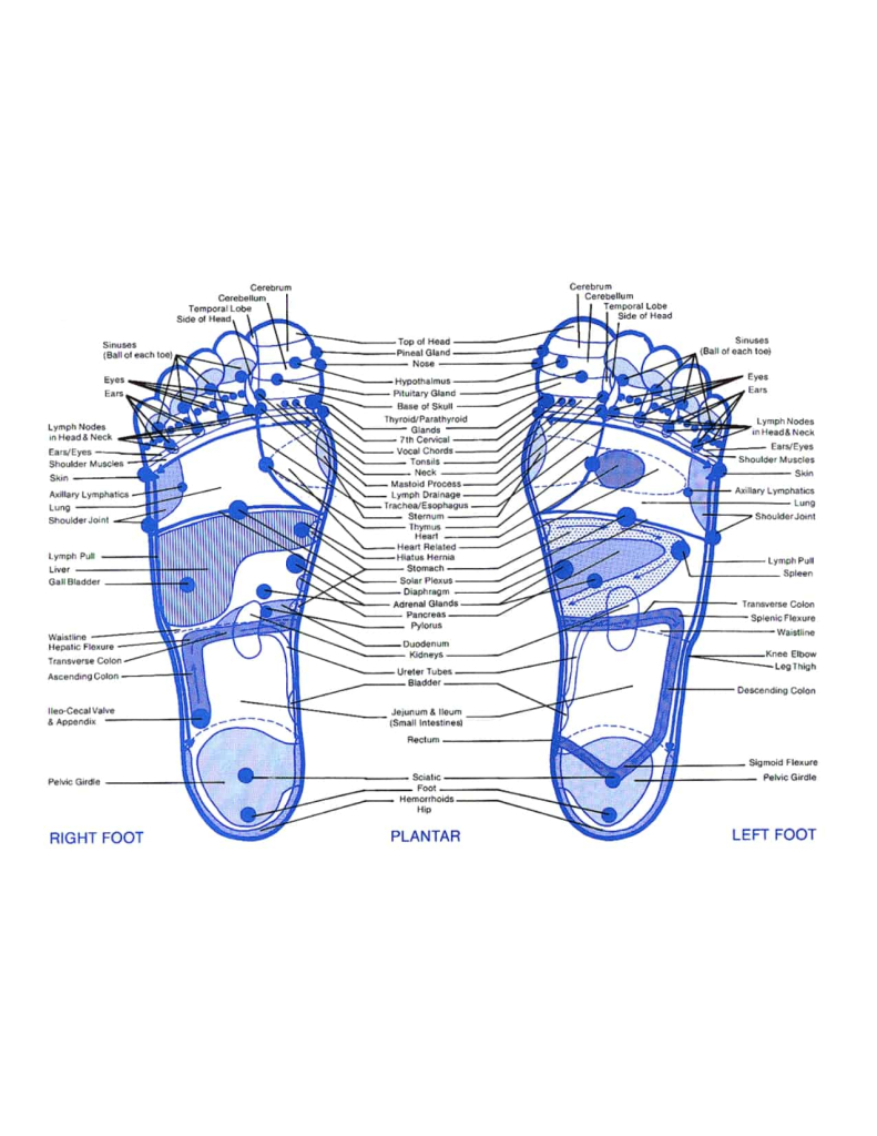 Foot Reflexology Chart: How Does It Work And Is It Effective?