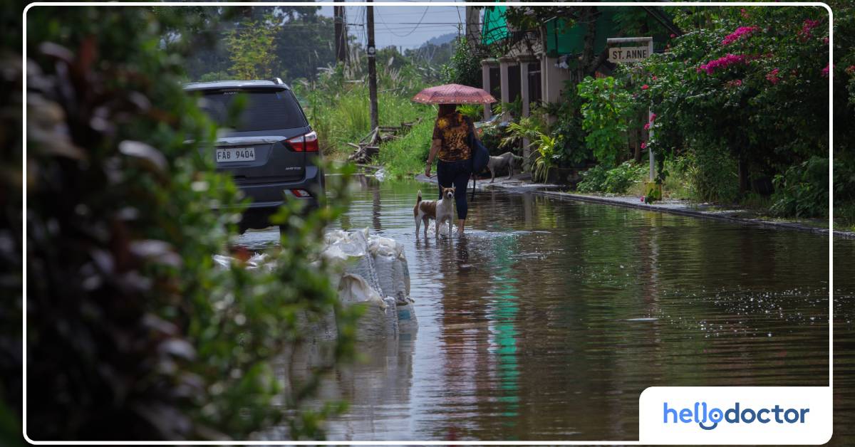 6 Na Dapat Mong Gawin Para Sa Paghahanda Sa Bagyo!